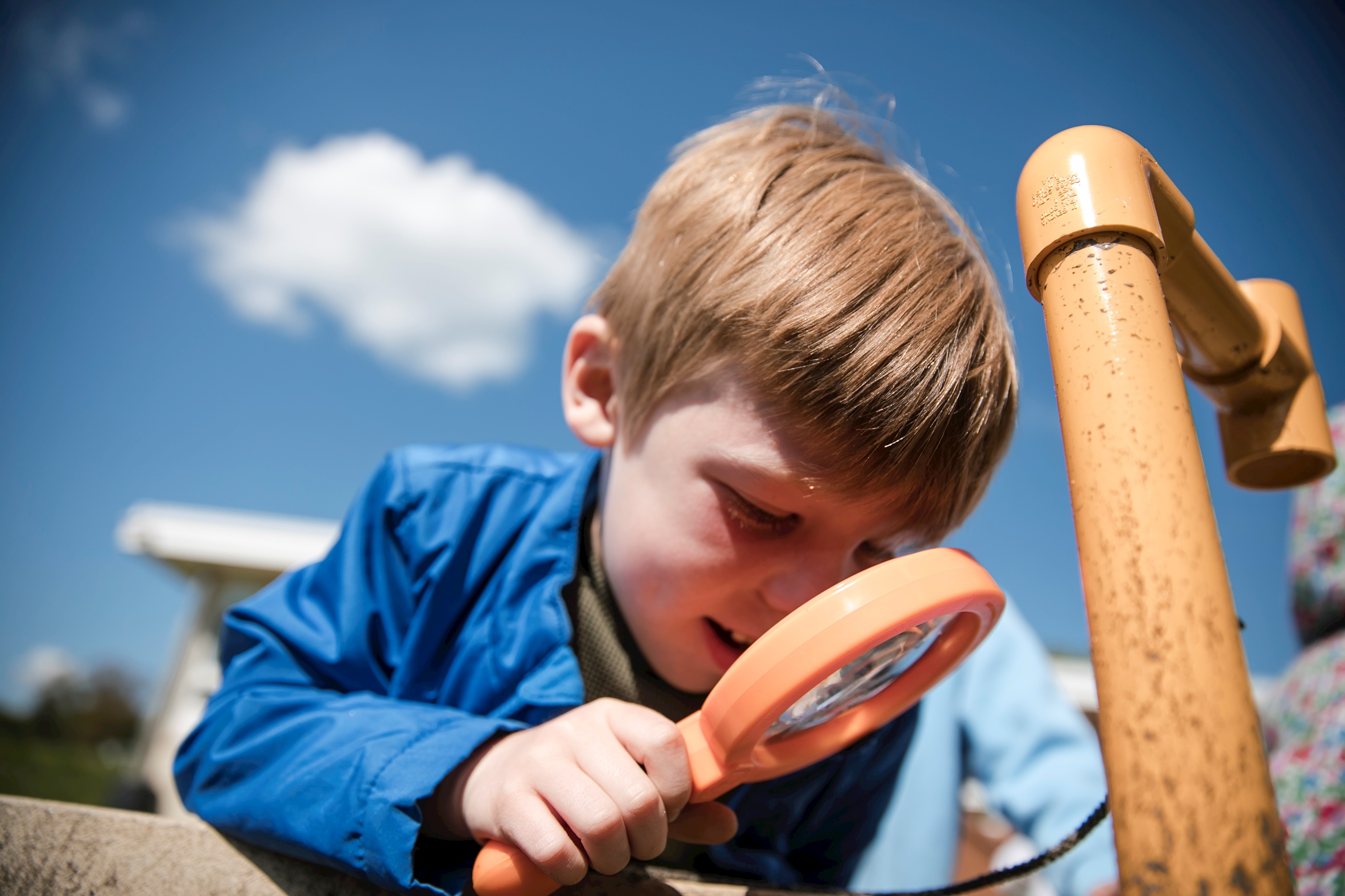 Experience Tatnall | The Tatnall School
