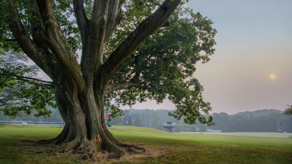 Create a Legacy with the Red Oak Society | The Tatnall School